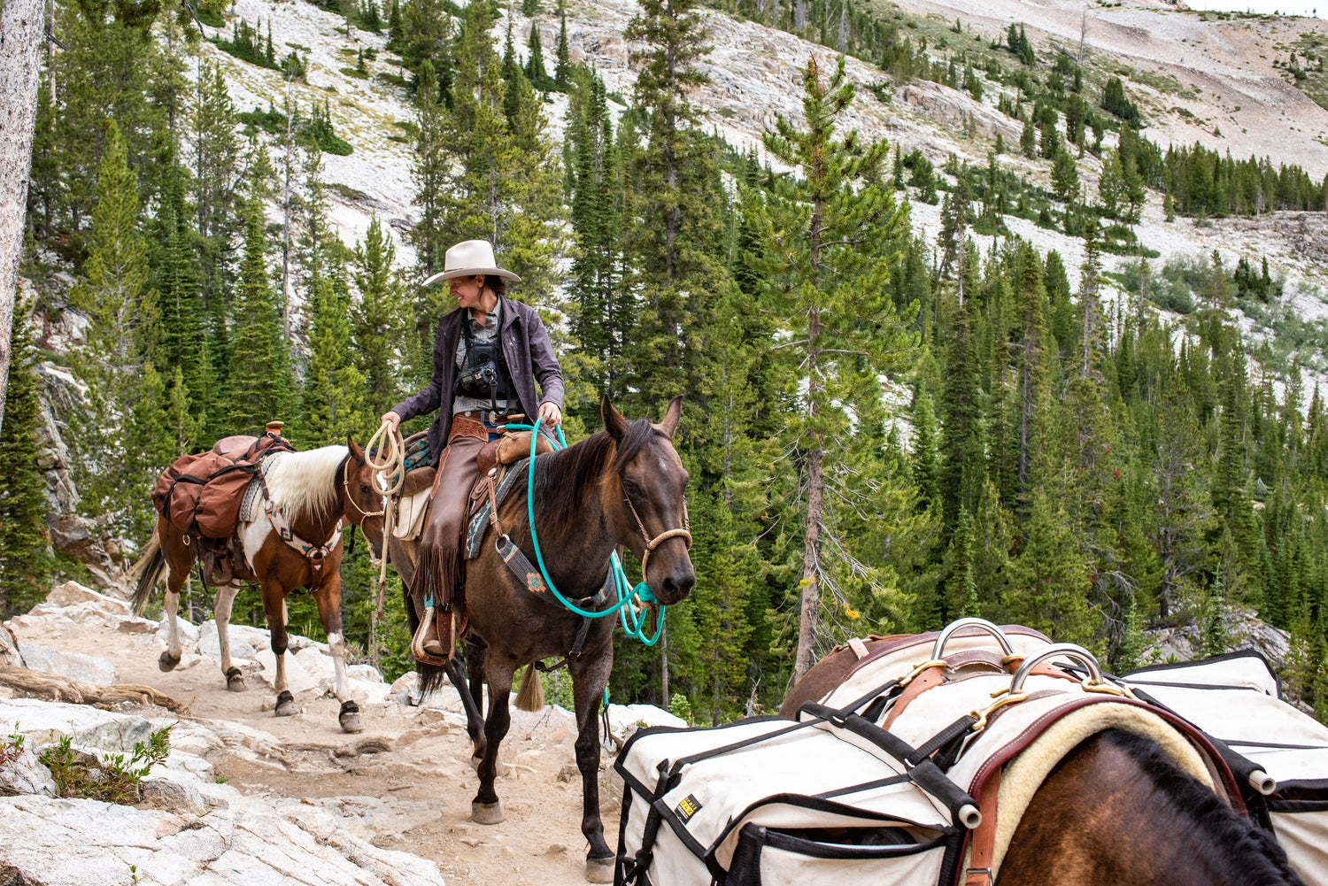 How much weight can my horse carry? | Outfitters Supply – Outfitters Supply