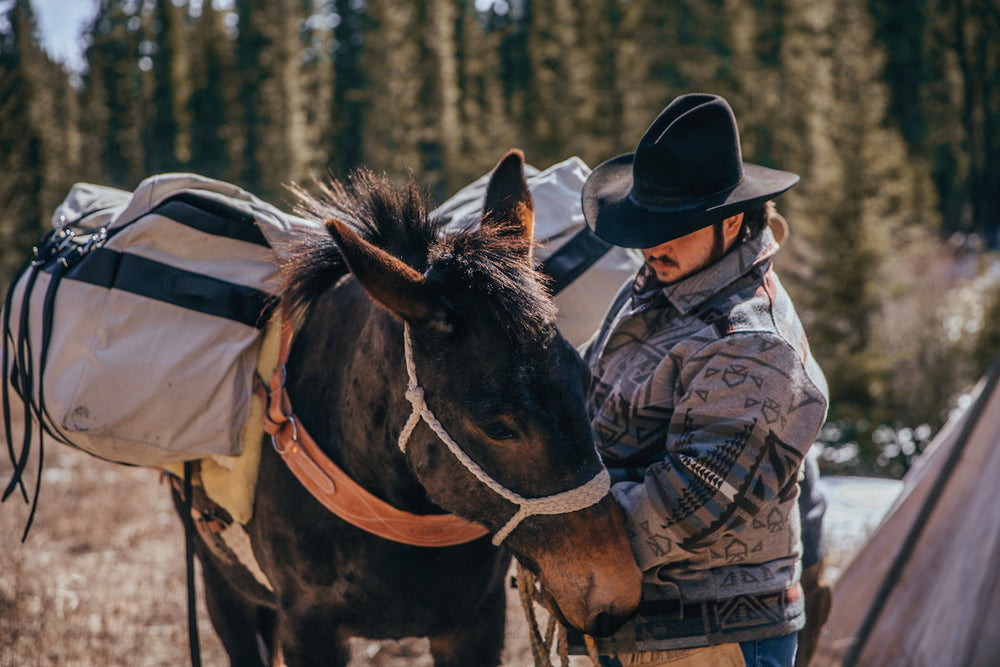 Saddlebags, Packing Equipment, Tack and Equine Gear | TrailMax ...