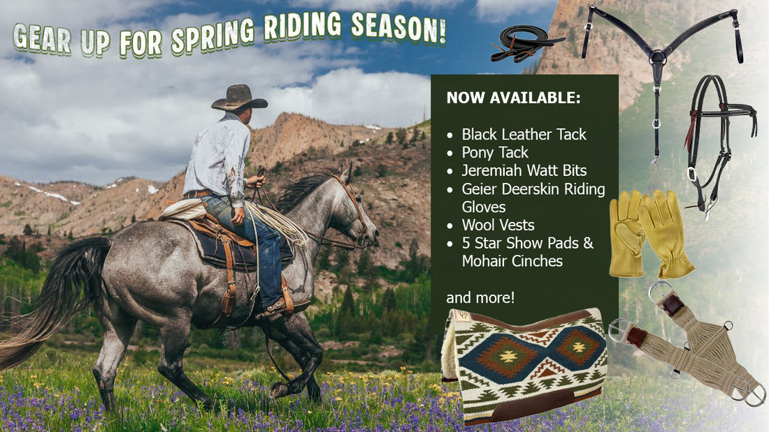 Saddlebags, Packing Equipment, Tack and Equine Gear | TrailMax ...